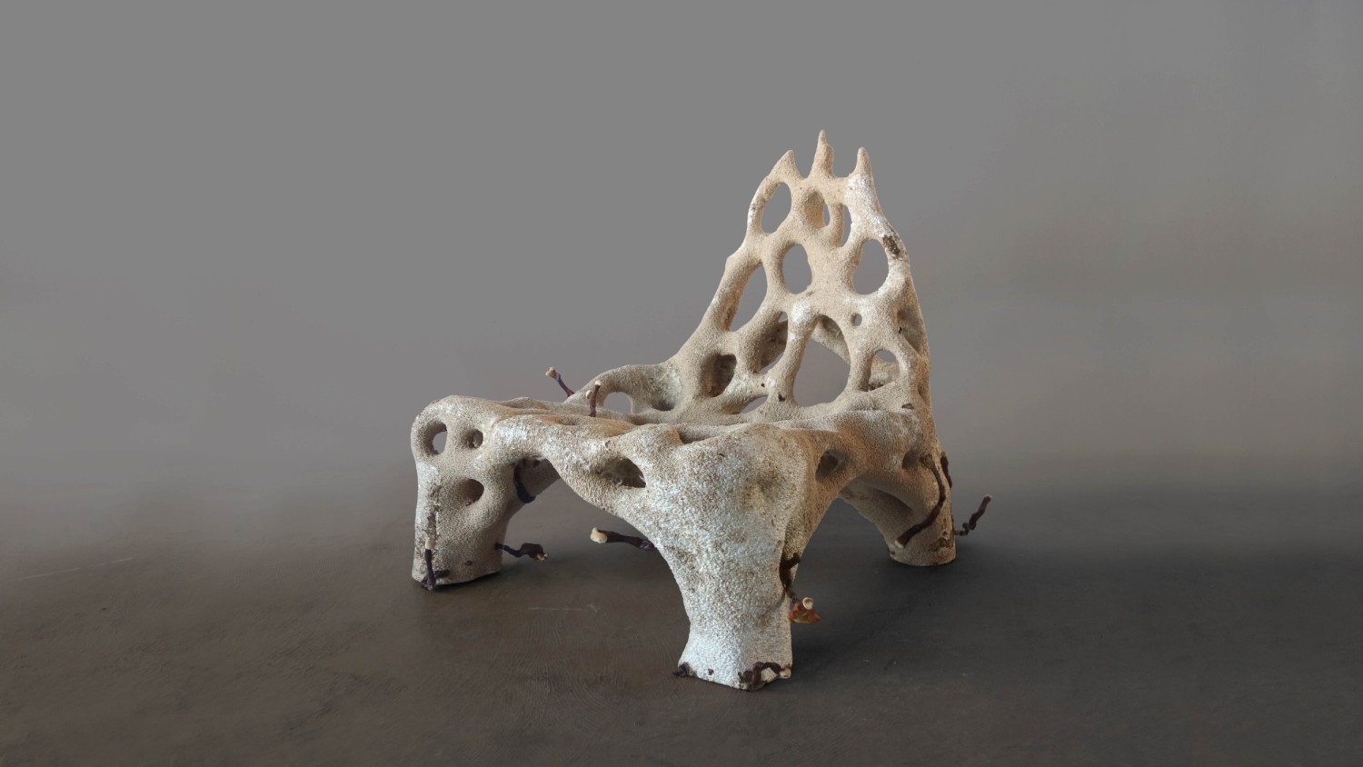 Formae | Propriétés uniques du mycélium